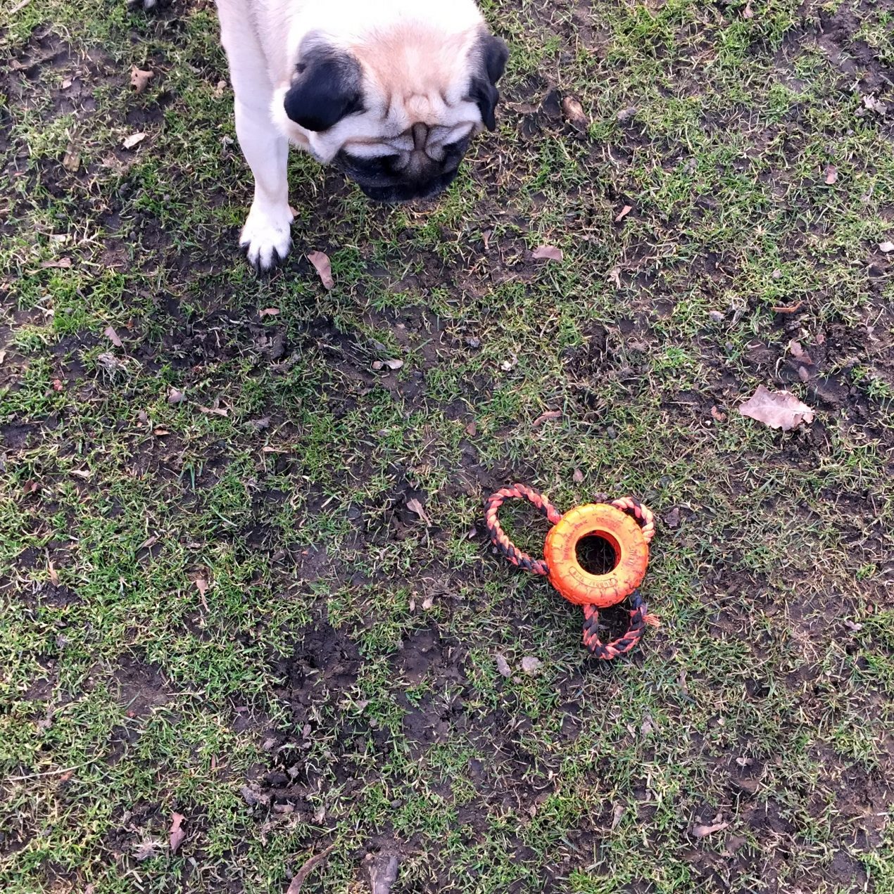 Testbericht: Bomber Tri Loop Zerrspielzeug