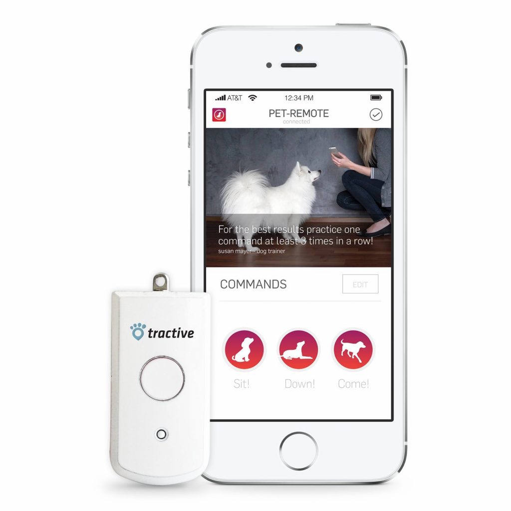 Clicker für das richtige Clicker-Training mit dem Hund