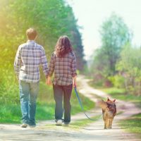 Tierisch gute Angebote | mein-haustier.de