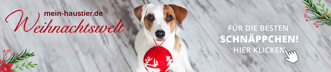 Tierisch gute Angebote | mein-haustier.de