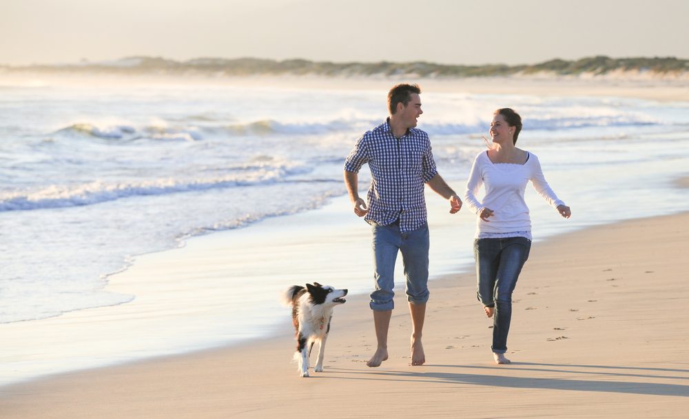 Tierisch gute Angebote | Mein Haustier