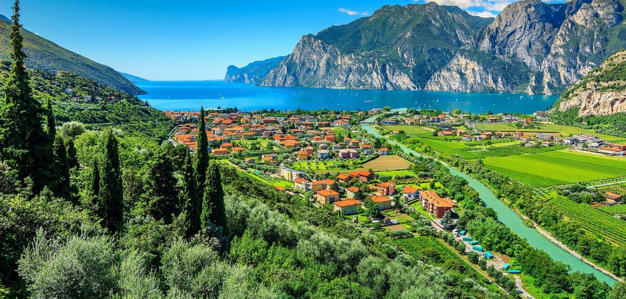 Tierisch gute Angebote | Mein Haustier