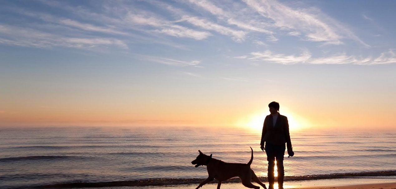 Tierisch gute Angebote | Mein Haustier