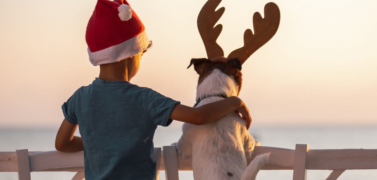 Tierisch gute Angebote | Mein Haustier