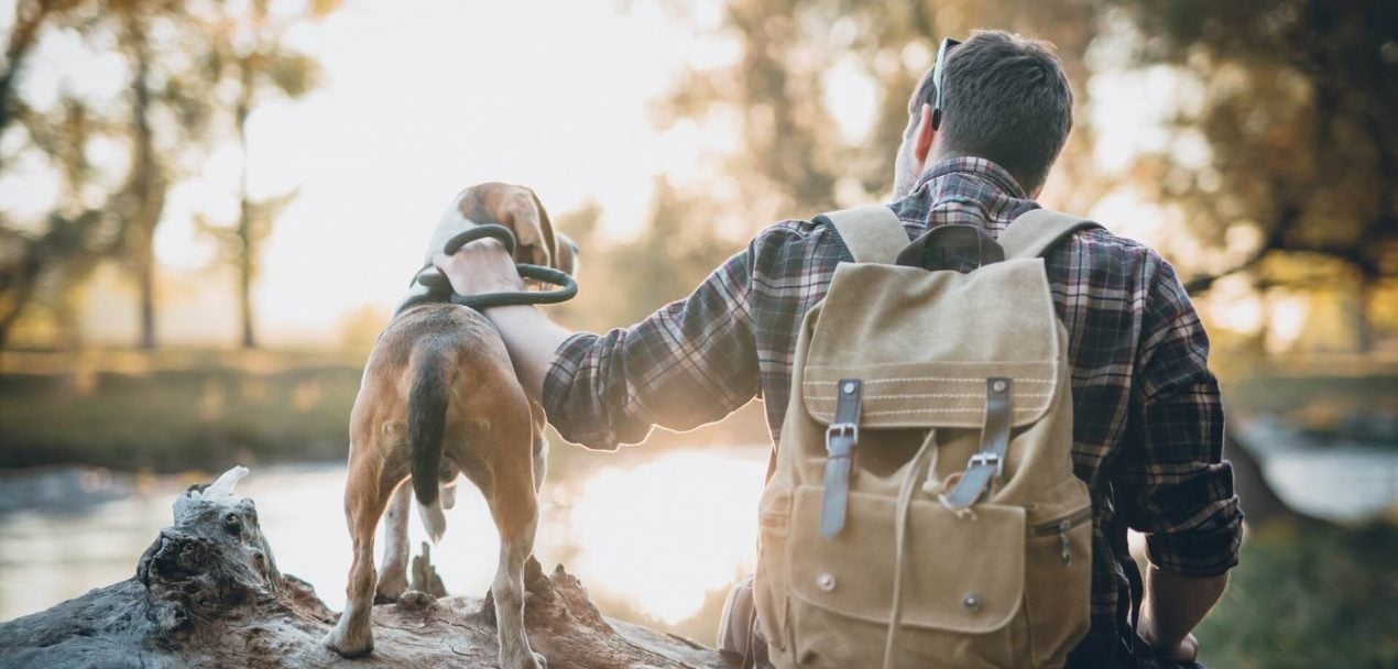 Tierisch gute Angebote | Mein Haustier