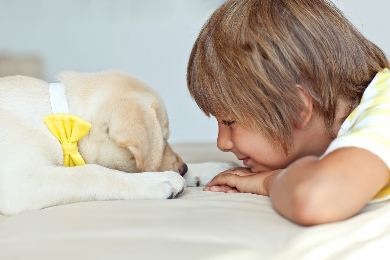 Hunde für Kinder: Die 11 familienfreundlichsten Hunderassen
