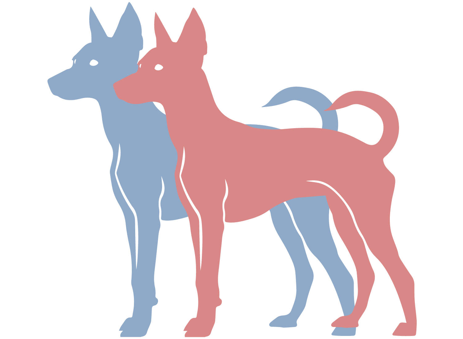 Prager Rattler Steckbrief | Geschichte, Charakter & Haltung