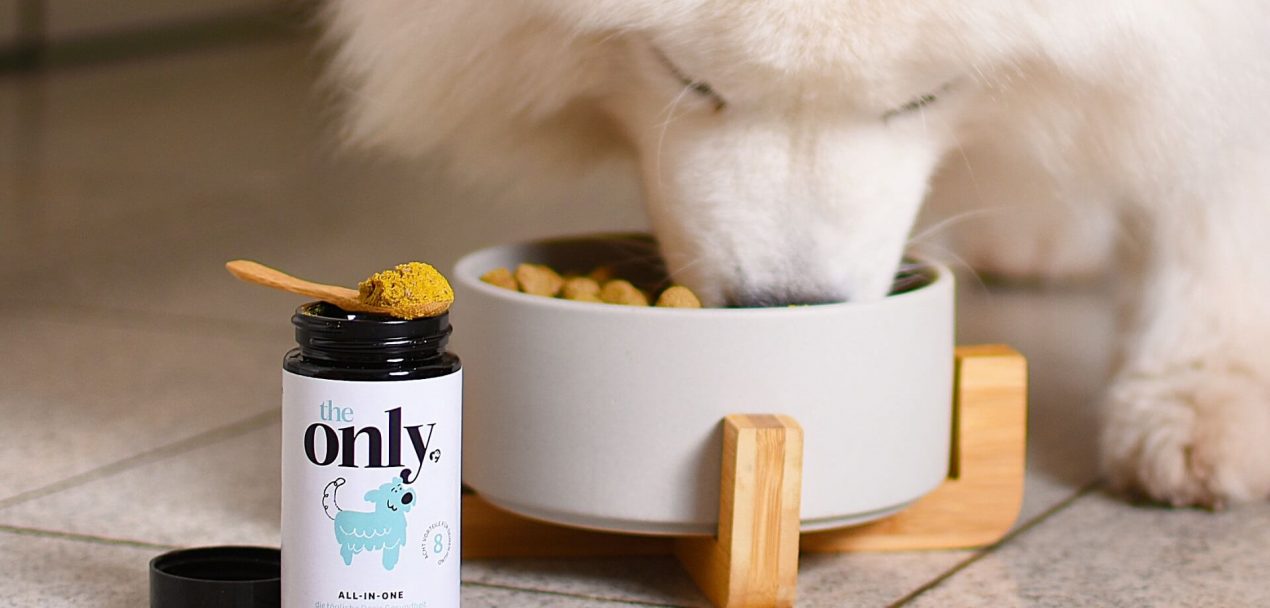 Produkt-Tests | Mein Haustier