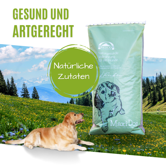 REICO Hundefutter mit individuellem Touch | Empfohlen von Mein Haustier