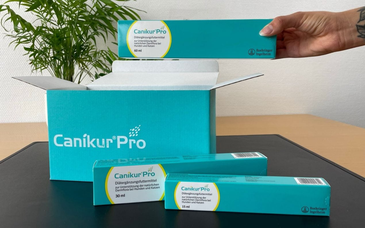 Testbericht Canikur® Pro für Hunde bei uns im Test