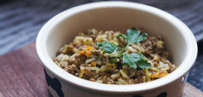 Katzenfutter selber machen - Wie es geht und was ihr beachten müsst