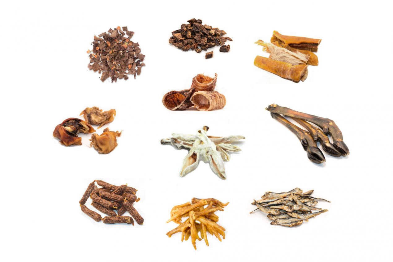 Sichert euch jetzt 10 % Rabatt auf alle Produkte von Barf-Box.de!