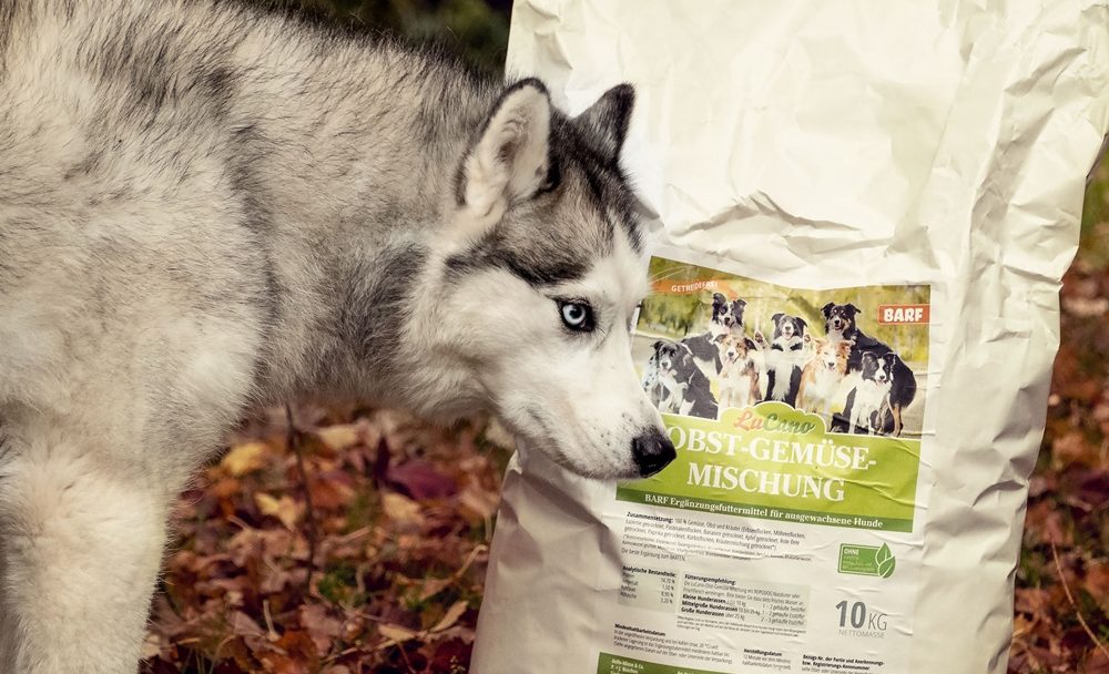 Tierisch gute Angebote | Mein Haustier