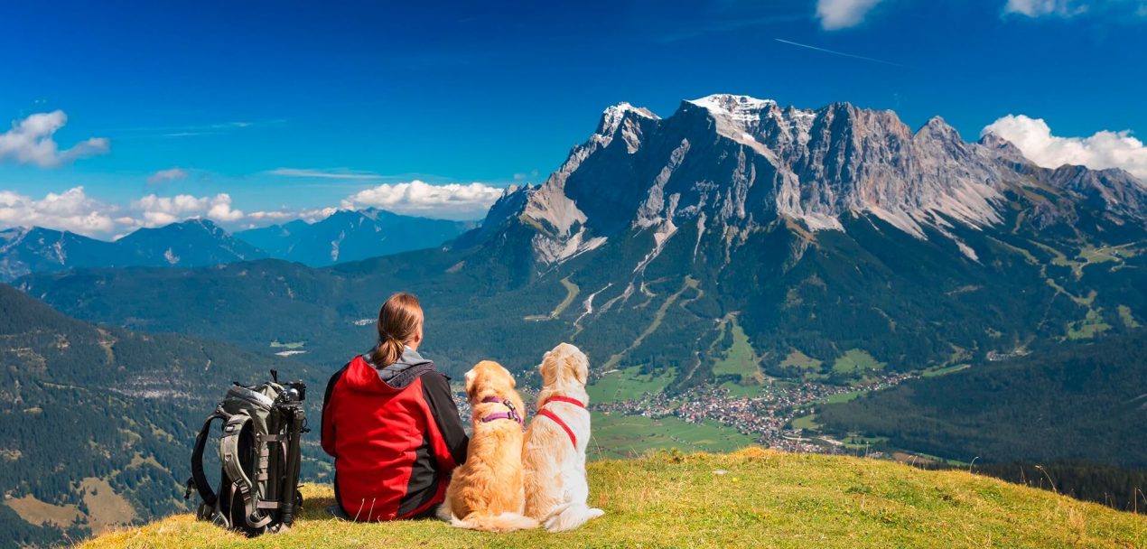 Tierisch gute Angebote | Mein Haustier