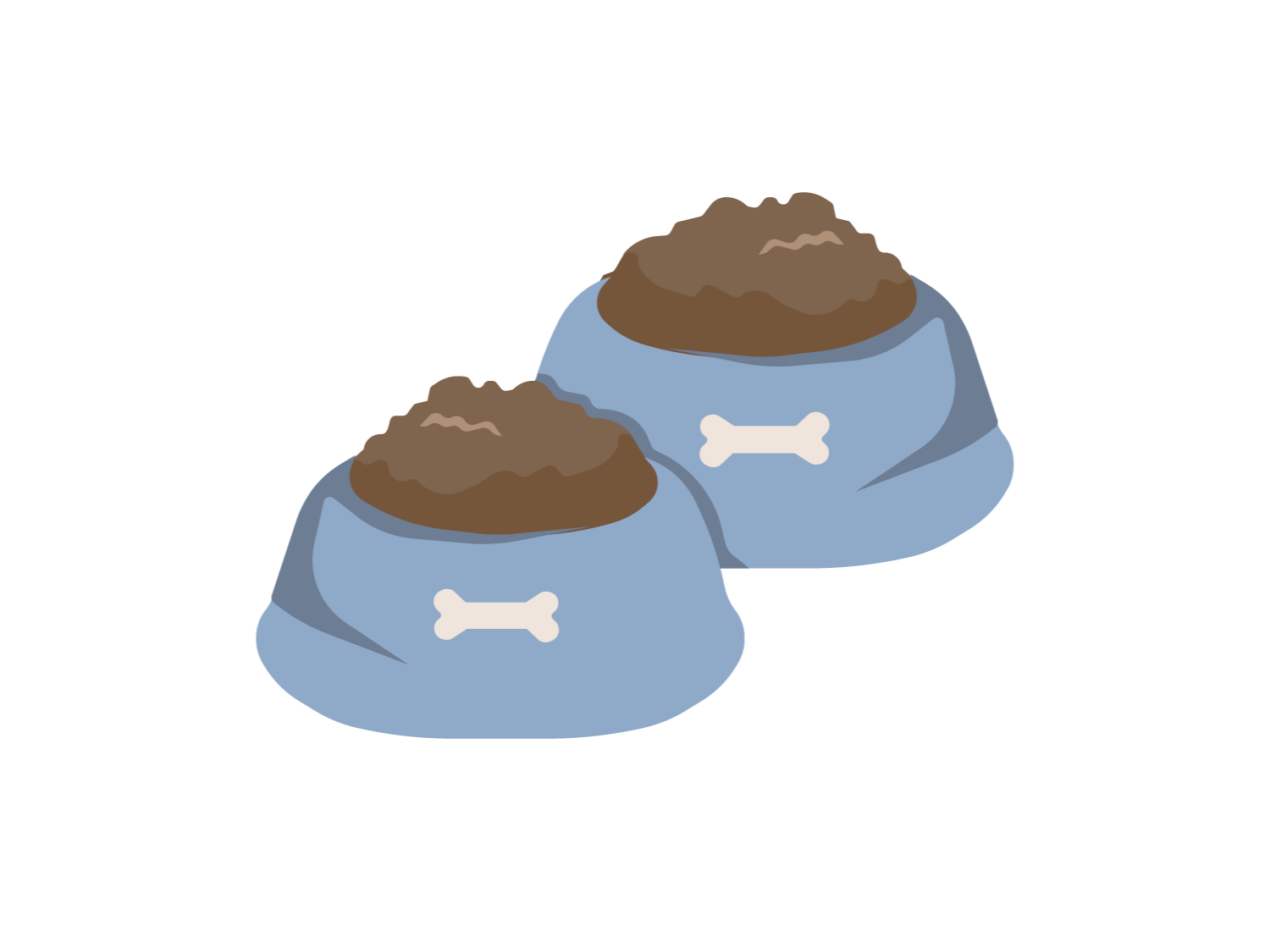 Russkiy Toy - Der kleine, aber lebhafte Begleiter